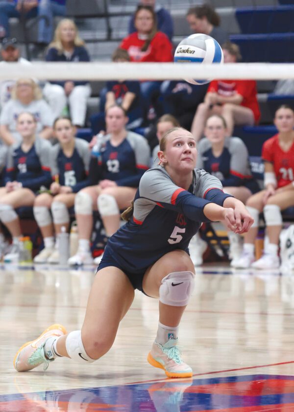 Cedar Mountain defeats USC in playoffs | News, Sports, Jobs - Faribault ...